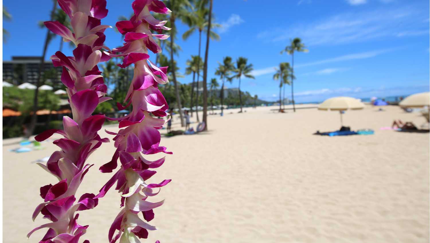 C'est quoi un collier lei hawaïen ? – Mer Aux Trésors